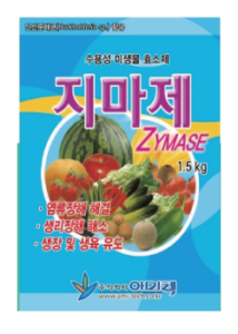 지마제 Zymase - 아미텍 AMITECH